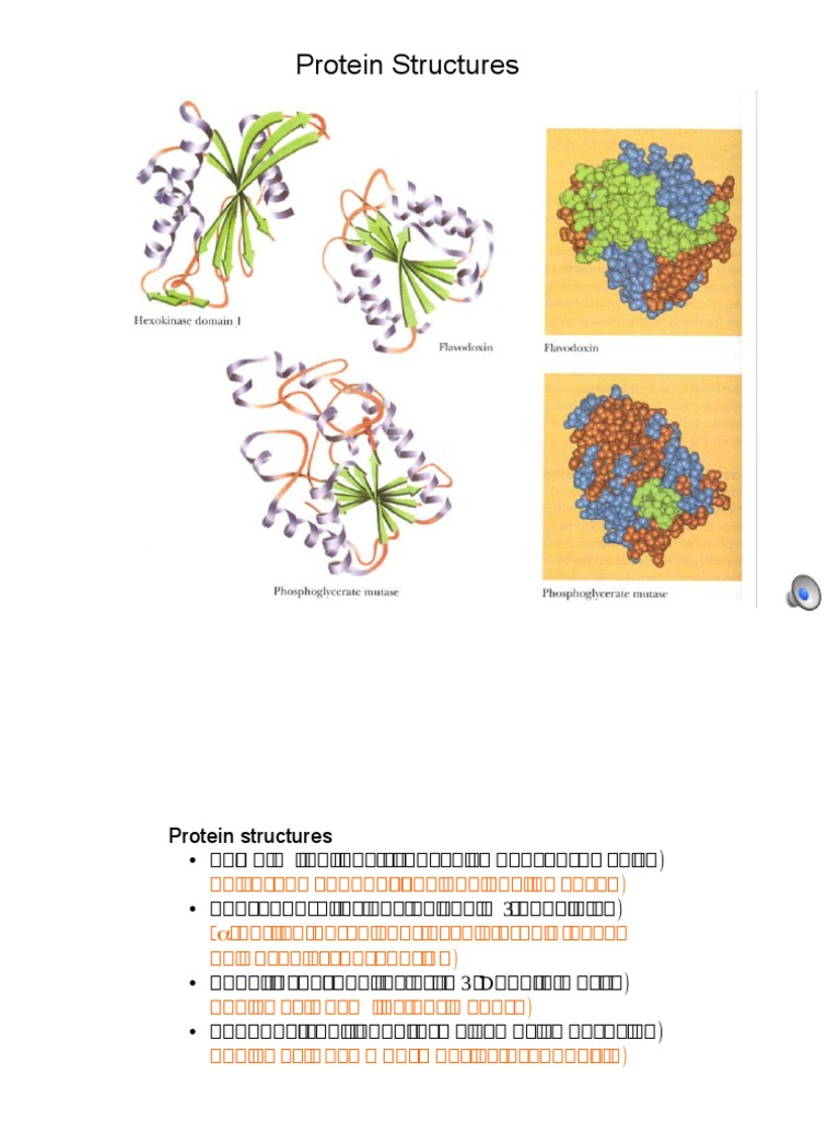 Proteins MP3 | PDF | Biomolecular Structure | Protein Folding