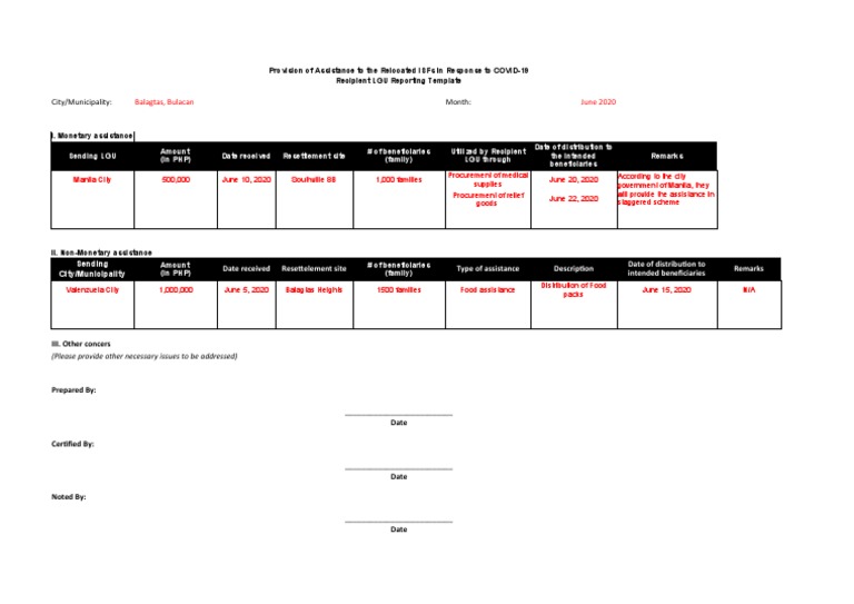 Recipient LGU Reporting Template | PDF | Business
