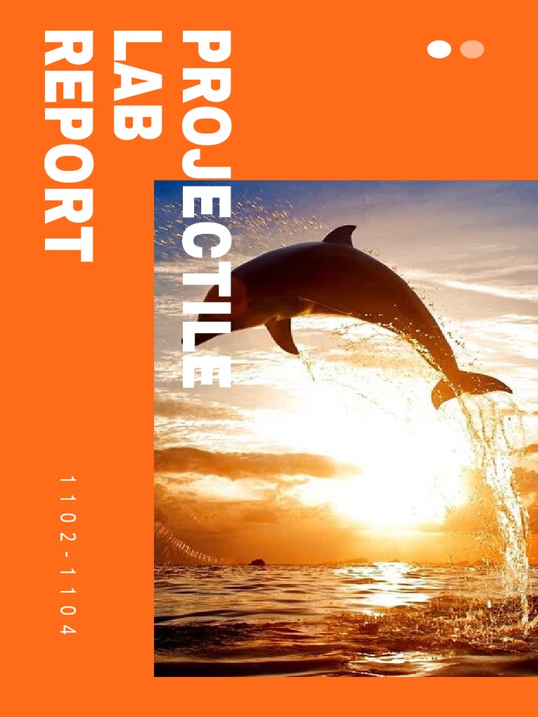 Projectile Lab Report | PDF | Projectiles | Mechanical Engineering