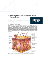 Anatomical Basis of Abdominal Incisions | PDF | Abdomen | Anatomy