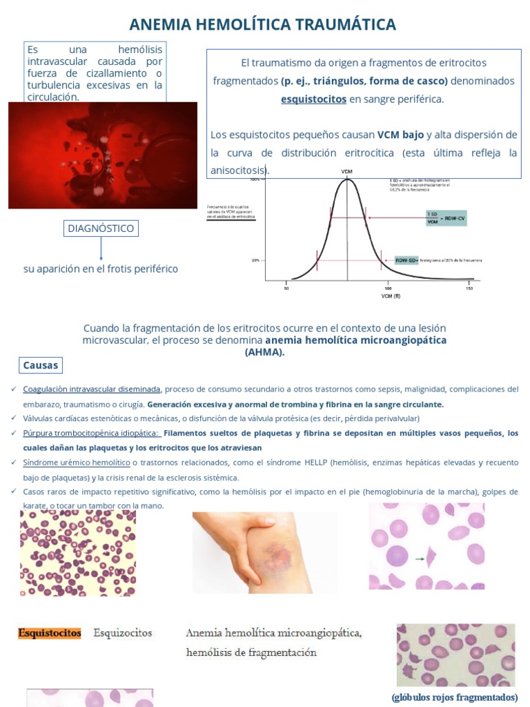 Anemia Hemolítica Traumática: Causas y Diagnóstico | PDF | Plaqueta ...