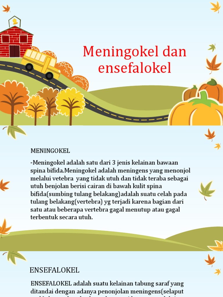 Deteksi dan Pencegahan Meningokel dan Ensefalokel | PDF