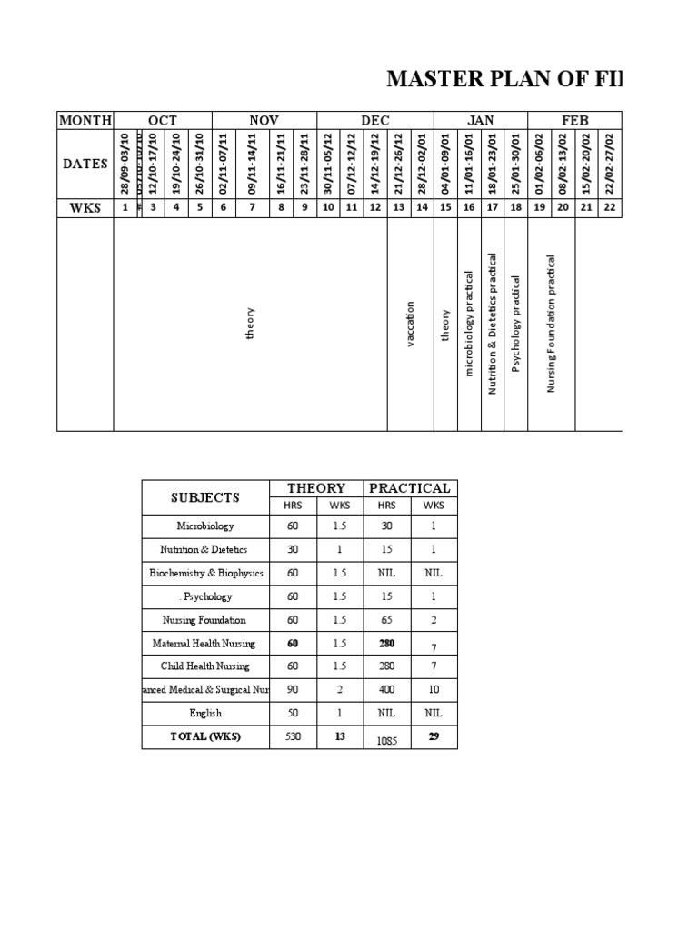 First Year PBBSC Master Rotation Plan by Delphy | PDF | Nursing ...