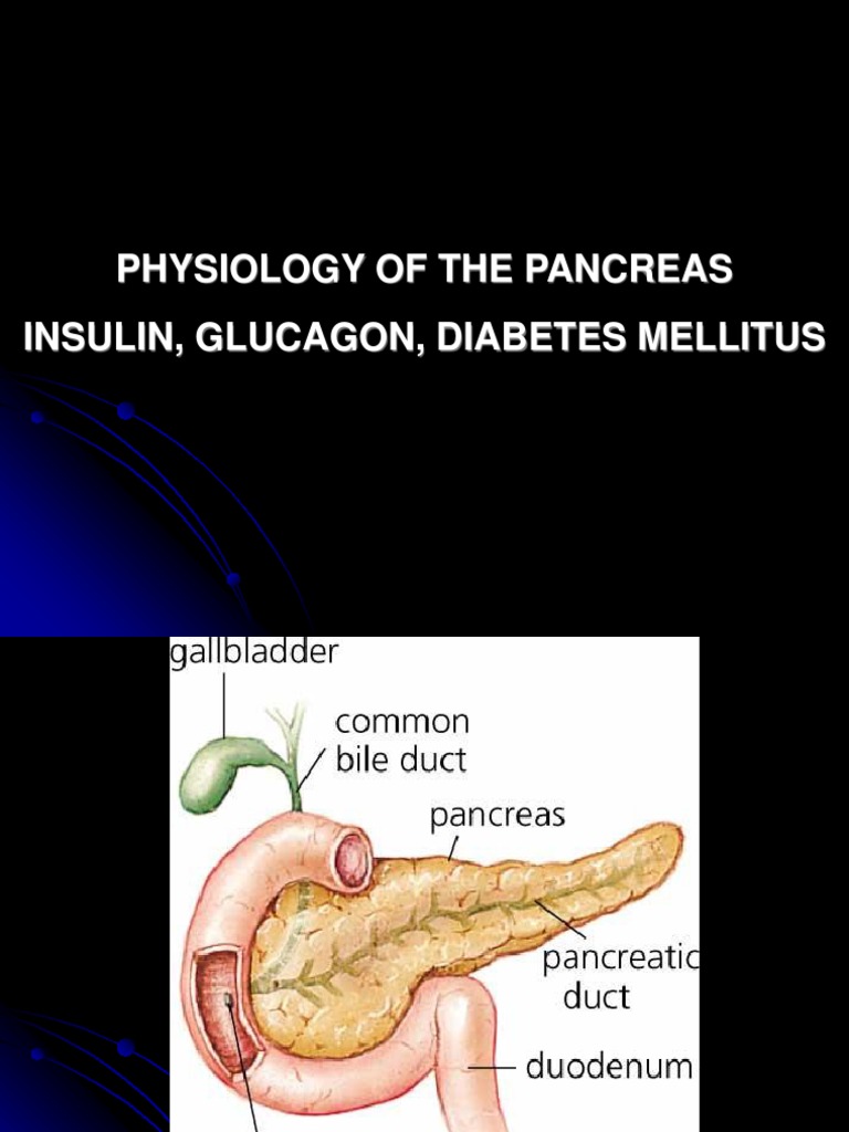 04 Physiology of The Pancreas PDF | PDF | Insulin | Glycogen