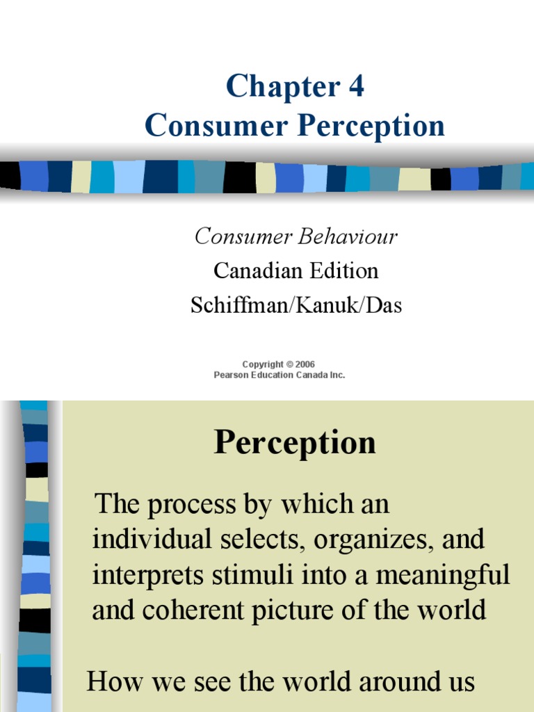 Consumer Perception | PDF | Perception | Stimulus (Physiology)