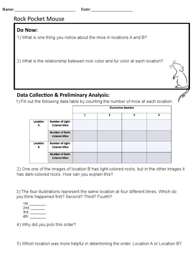 Evolution & Rock Pocket Mouse Study | PDF | Mouse | Evolution