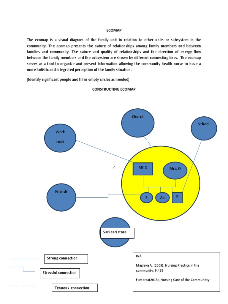 ECOMAP Community Health Nursing CHN | PDF