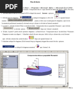 Fişă de Lucru Excel 1 | PDF