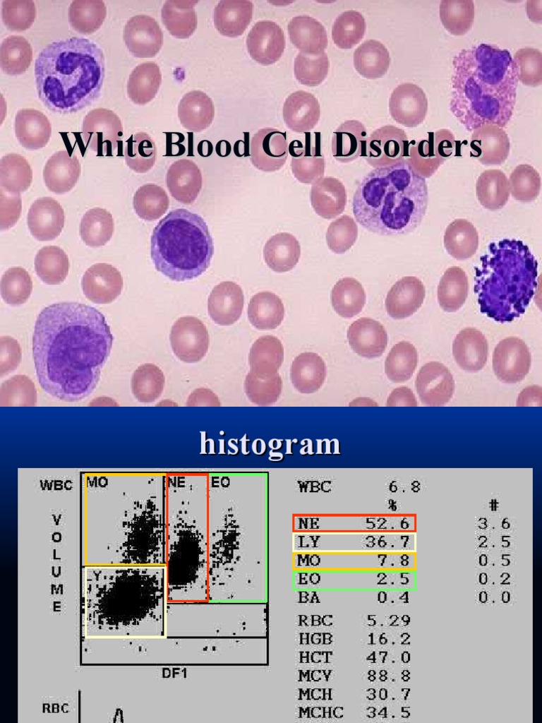 WBC Disorders | PDF | Granulocyte | White Blood Cell
