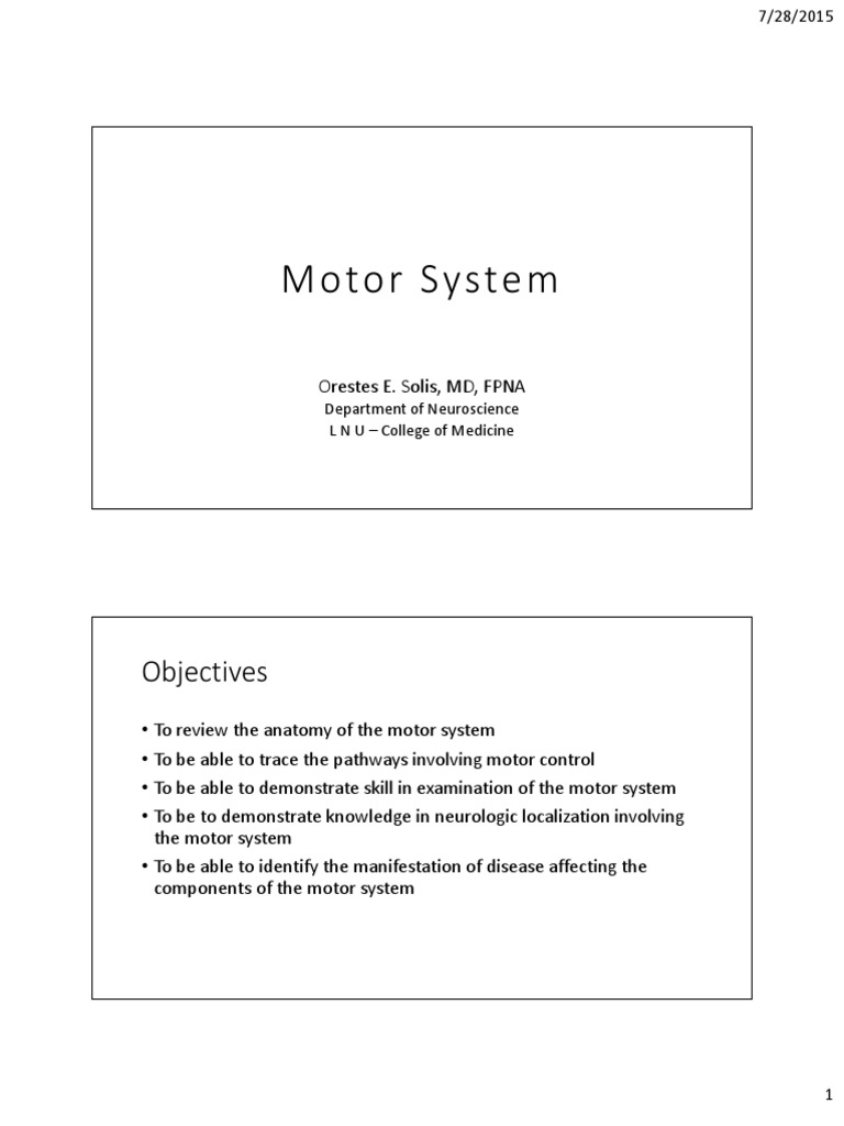 Motor System | PDF | Anatomical Terms Of Motion | Spinal Cord