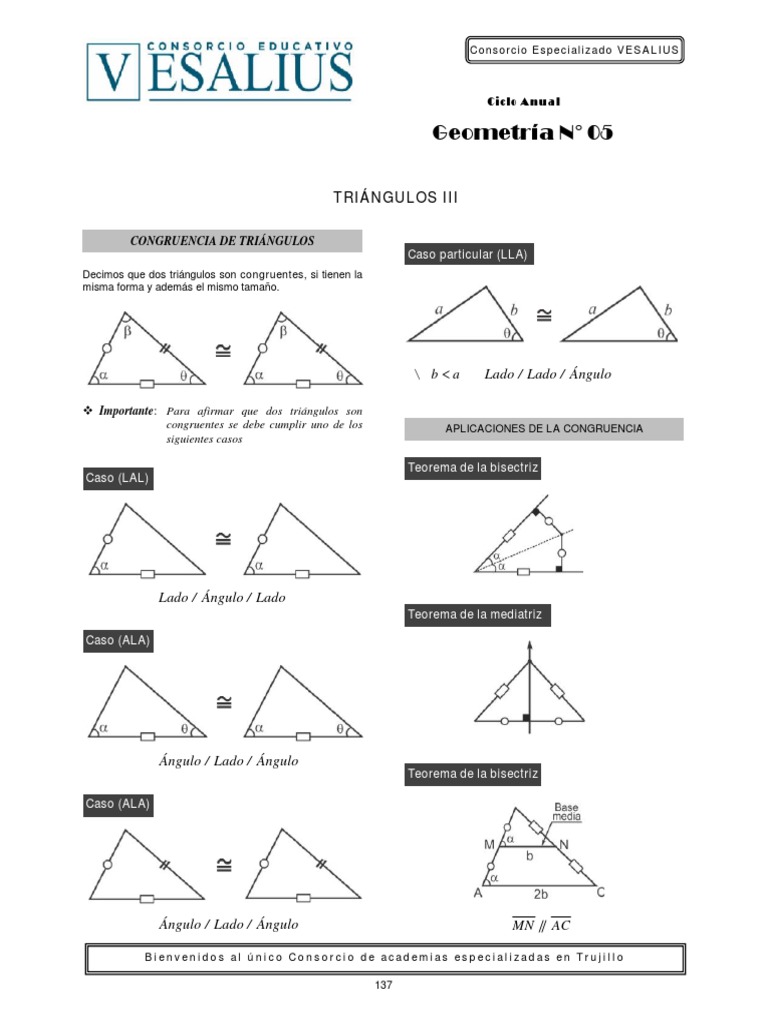 GEO. (05) TRIÁNGULOS III FN 137------142.pdf | PDF | Triángulo ...