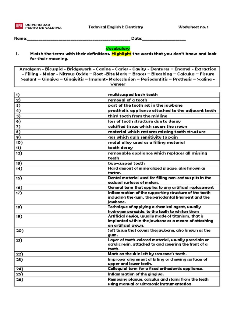 Dental Vocabulary Worksheet | PDF | Human Tooth | Tooth