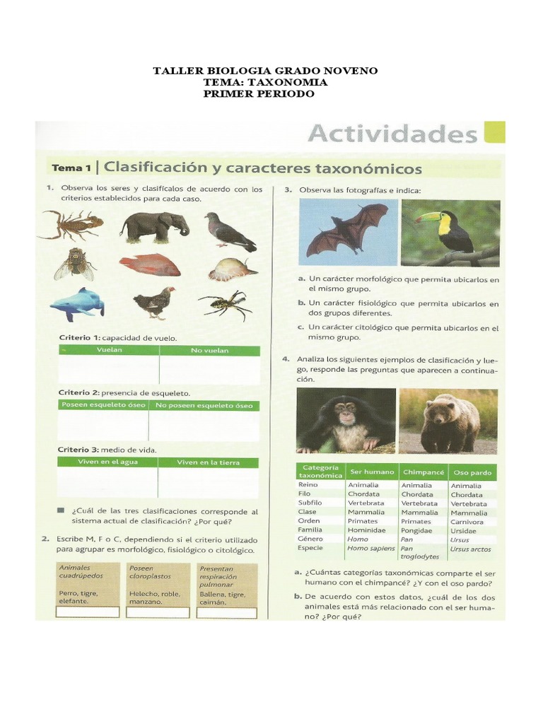 Ejemplos y Actividades de Taxonomía | PDF