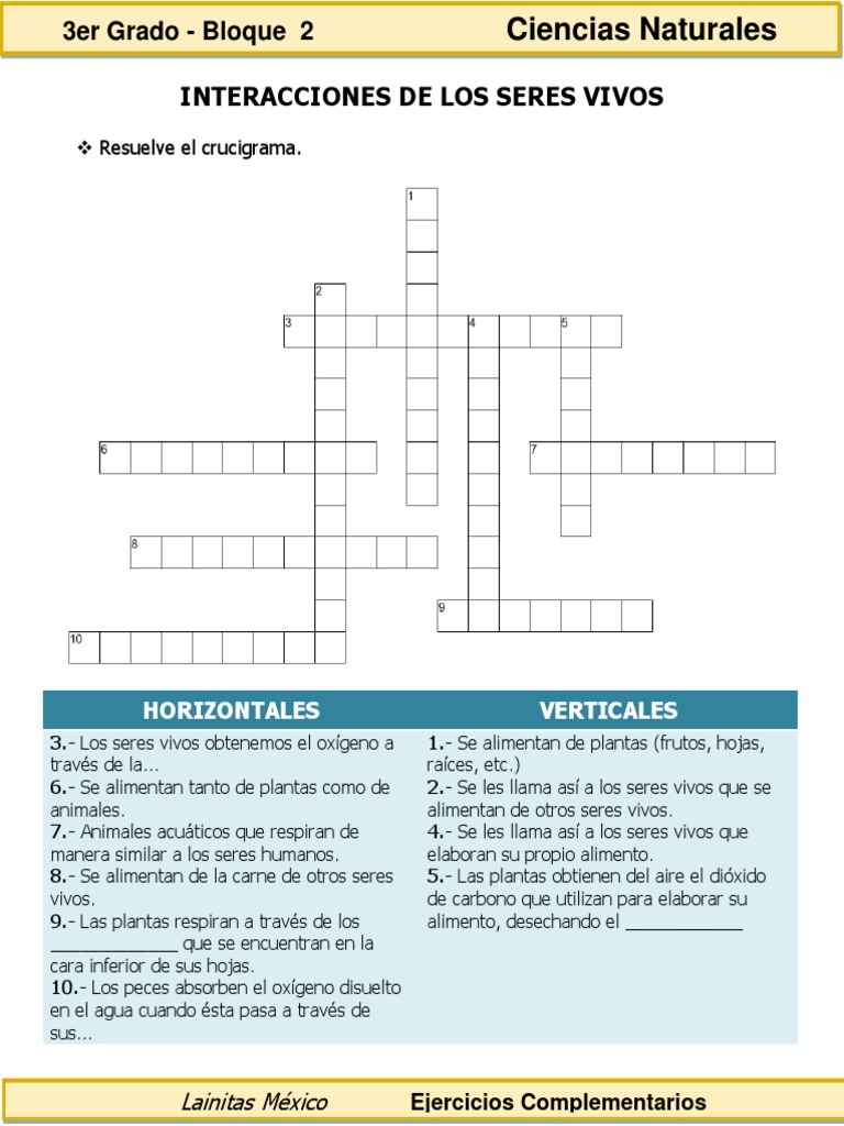 3er Grado - Ciencias - Interacciones de Los Seres Vivos | PDF | Hogar ...