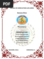 Cadeca | PDF | Honduras | Economias