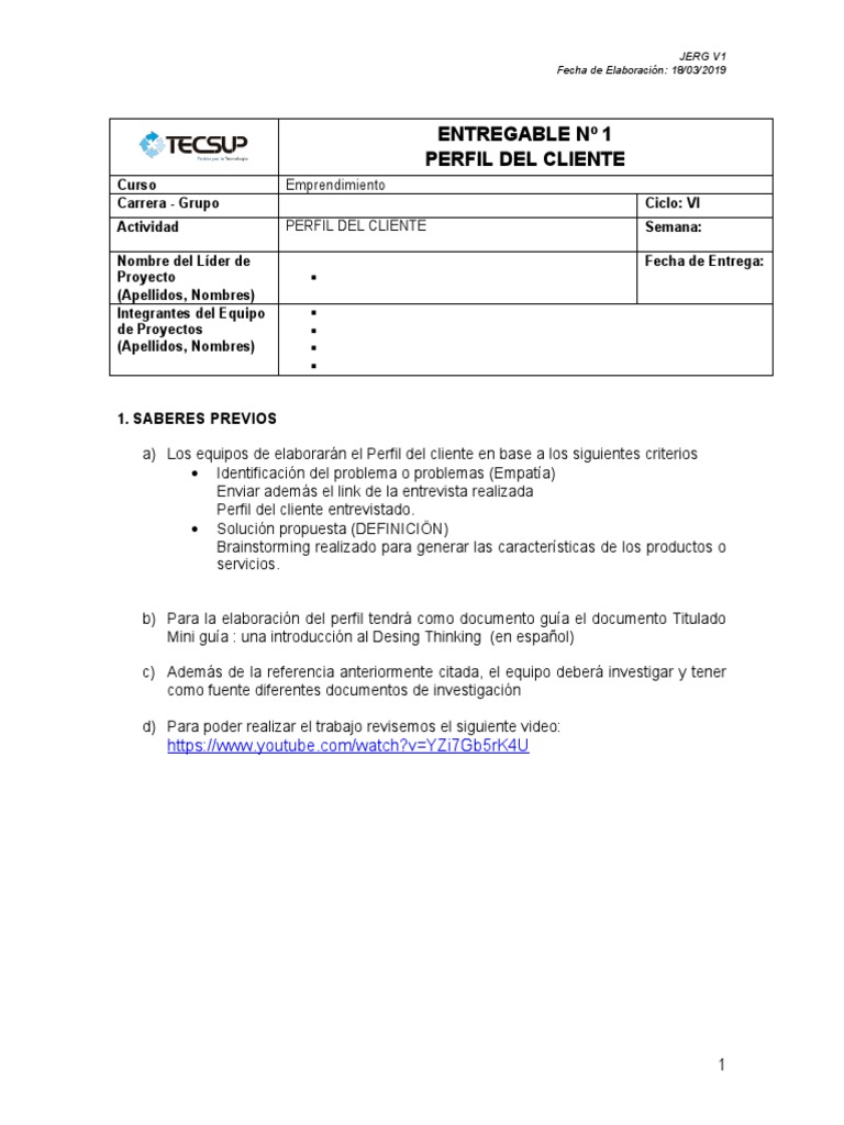 Guía para Elaborar el Perfil del Cliente | PDF