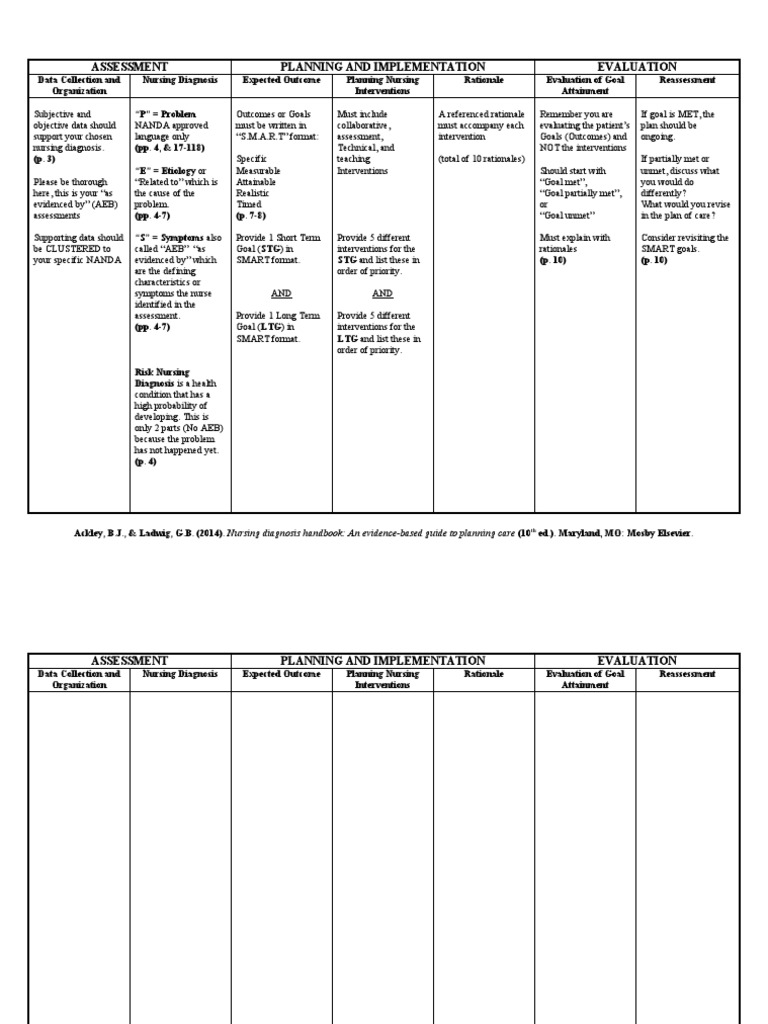 Assessment Planning and Implementation Evaluation | PDF | Nursing ...