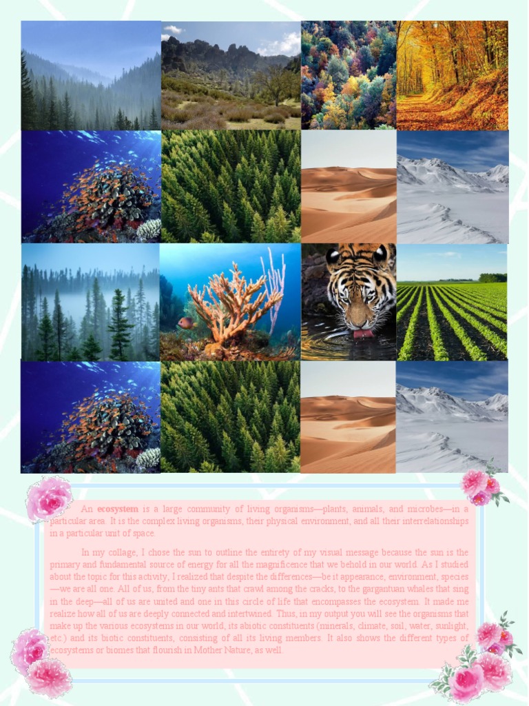 Ecosystem Collage | PDF