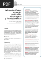 Fármacos Nefrotóxicos y su Manejo | PDF | Tratamientos médicos | Medicina