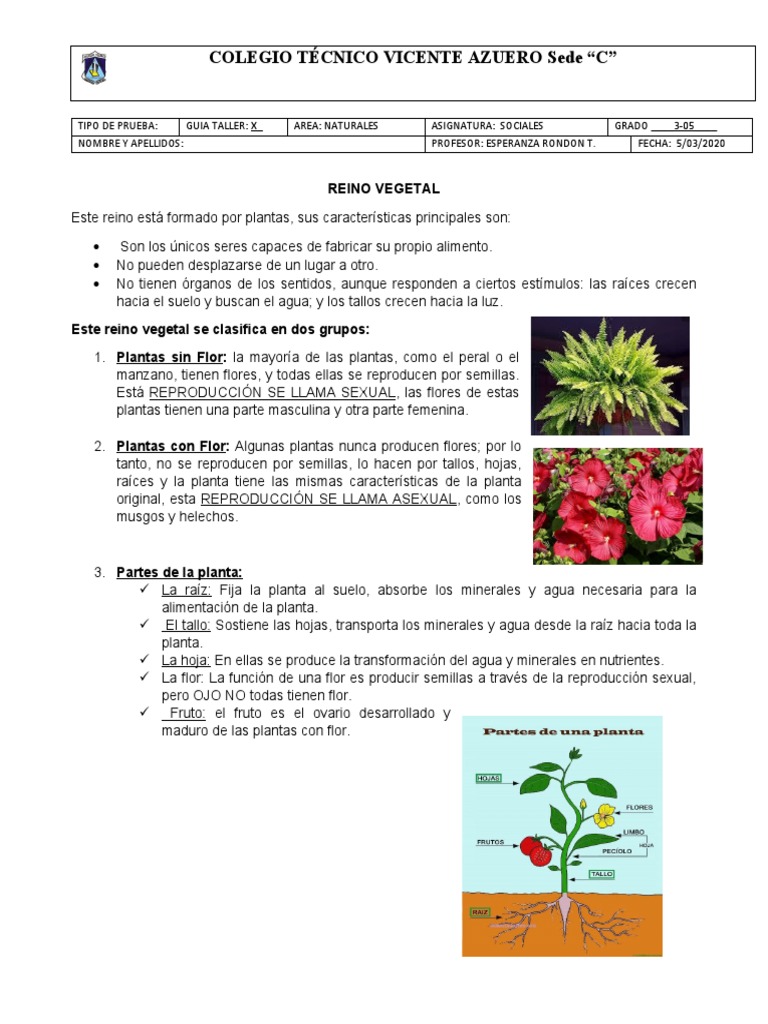 Guia de Plantas | PDF