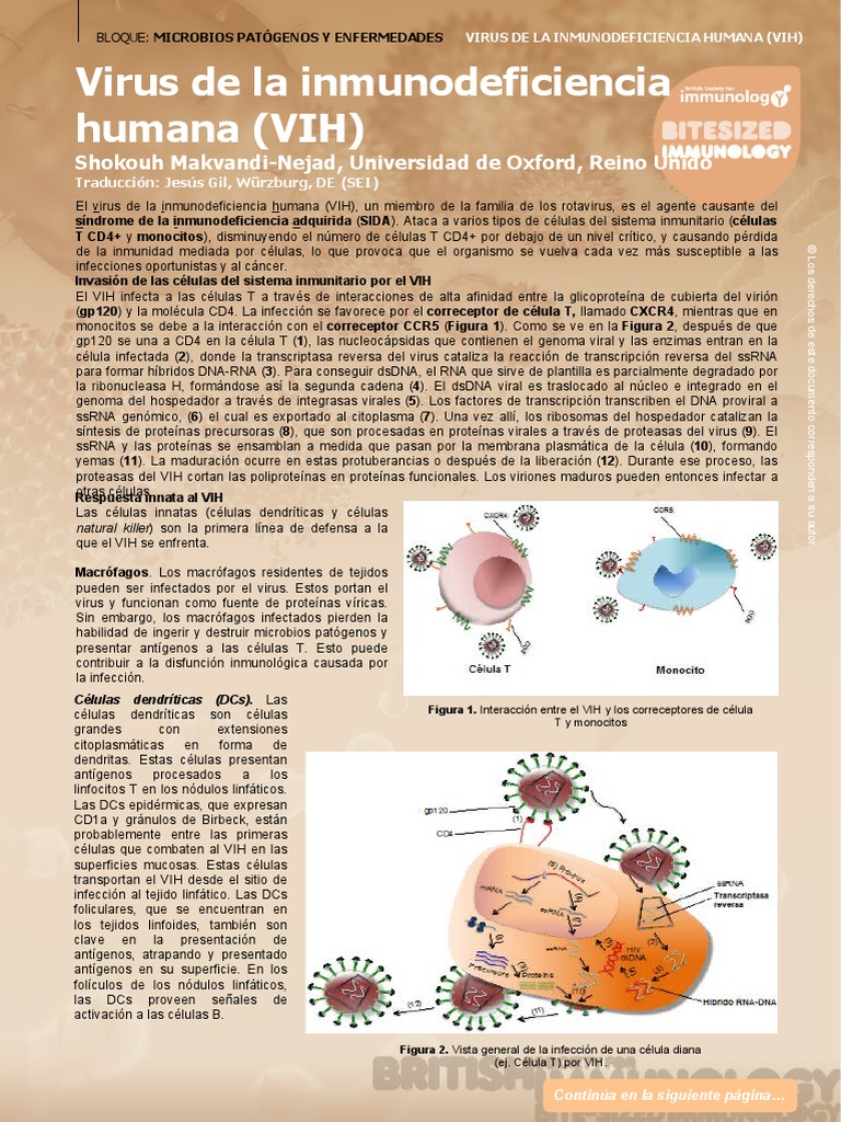 Human Immunodeficiency Virus (HIV) (Virus de La Inmunodeficiencia ...