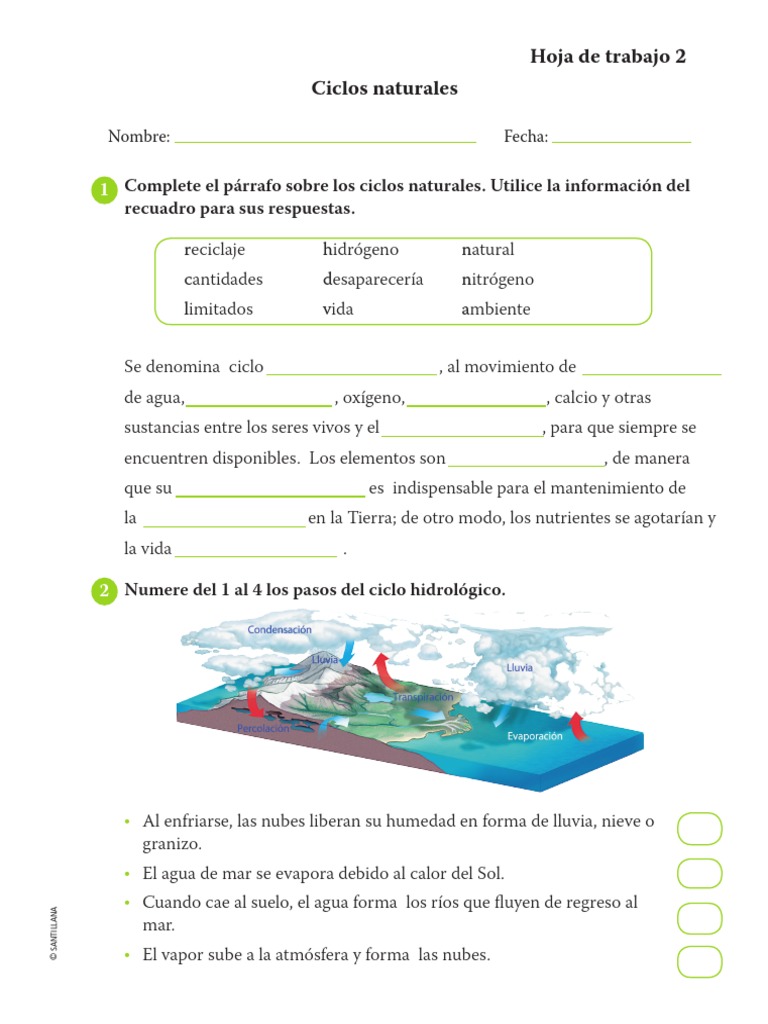 Hoja de Trabajo Ciclos Naturales | PDF