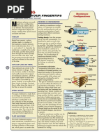 MS Flange ASA 150 Chart Accurate Dimensions & Specifications - Vijay ...