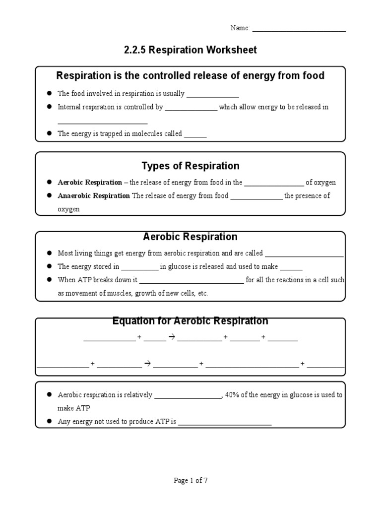 Biology Respiration Worksheet | PDF | Cellular Respiration | Fermentation