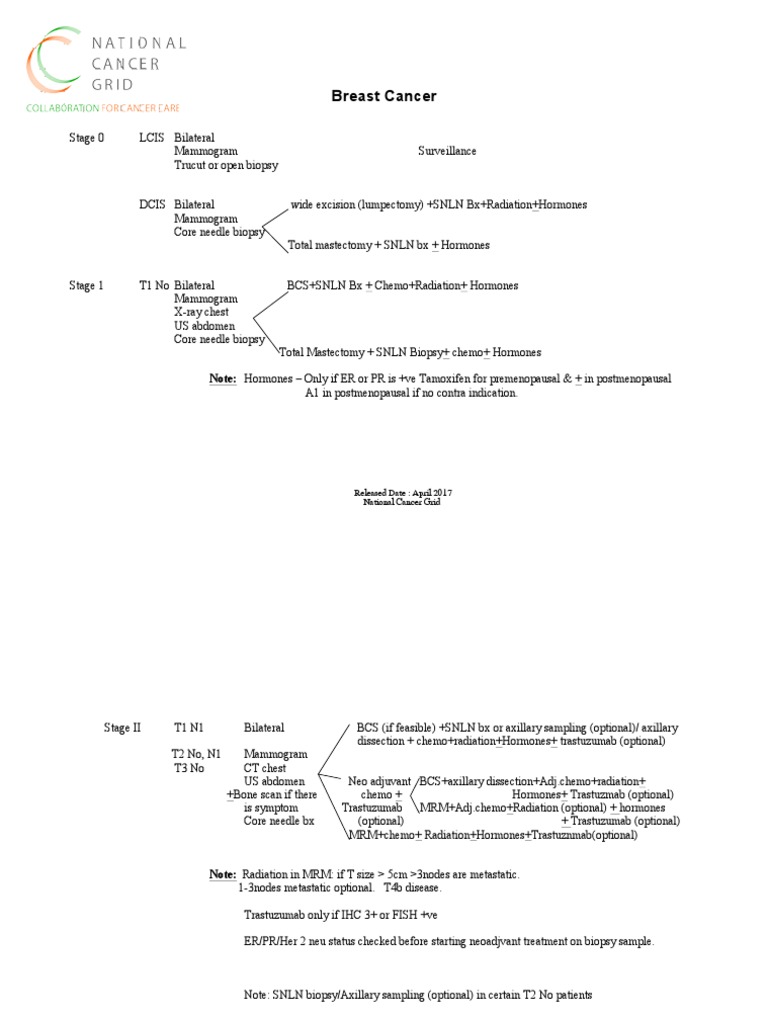Guidelines for Staging and Treatment of Breast Cancer According to the ...