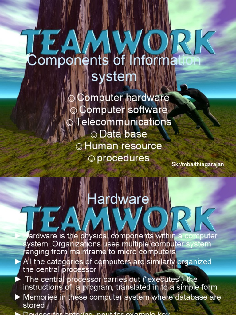 6 Componentsofinformationsystem-100426044020-Phpapp01 PDF | PDF | Databases | Input/Output