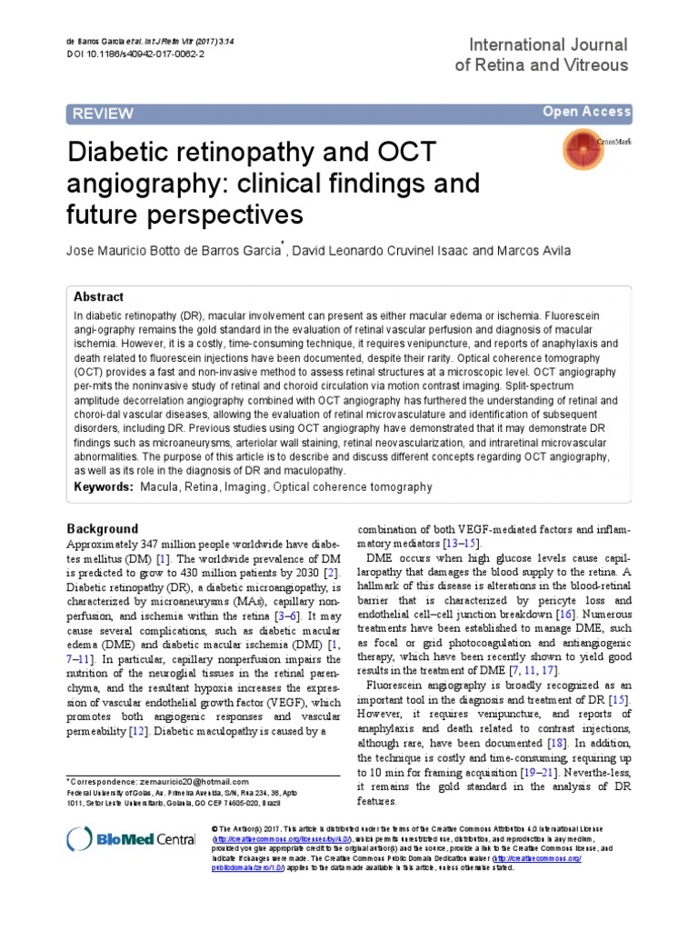 Oct RD Jurnal | PDF | Retina | Angiography
