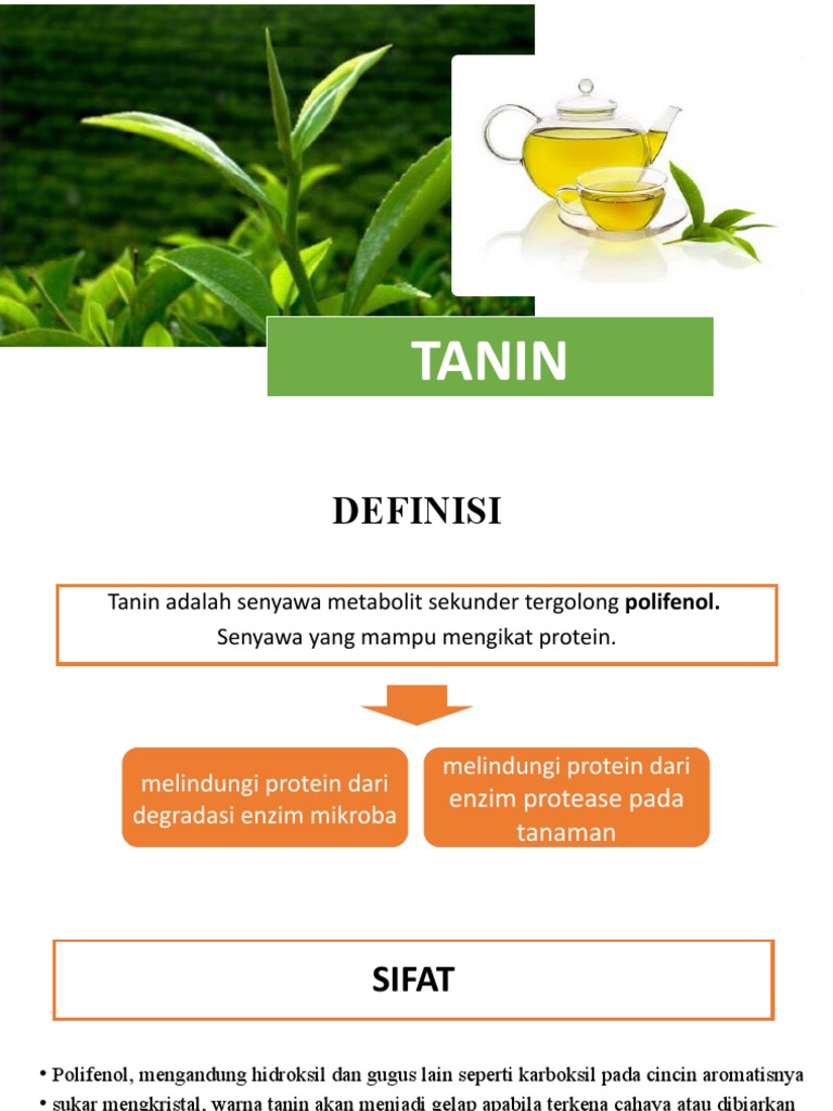 TANIN New | PDF