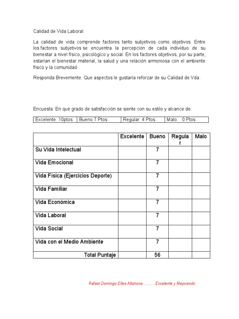 ENCUESTA Calidad de Vida Laboral | PDF