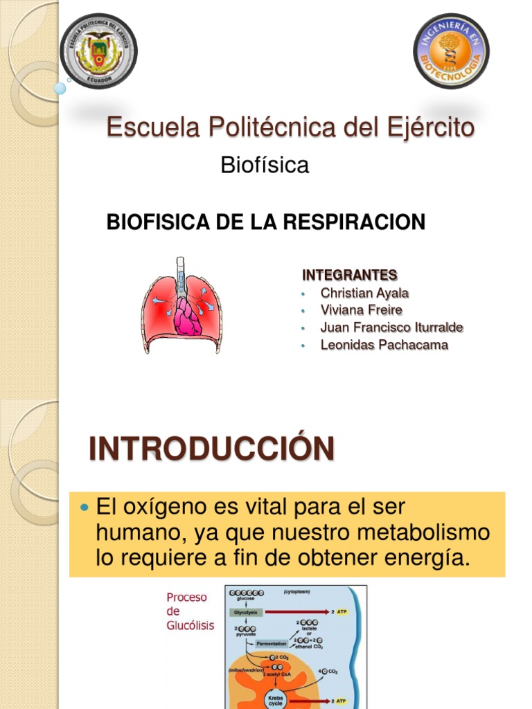 Biofisica de La Respiracion PDF | PDF | Sistema respiratorio | Pulmón