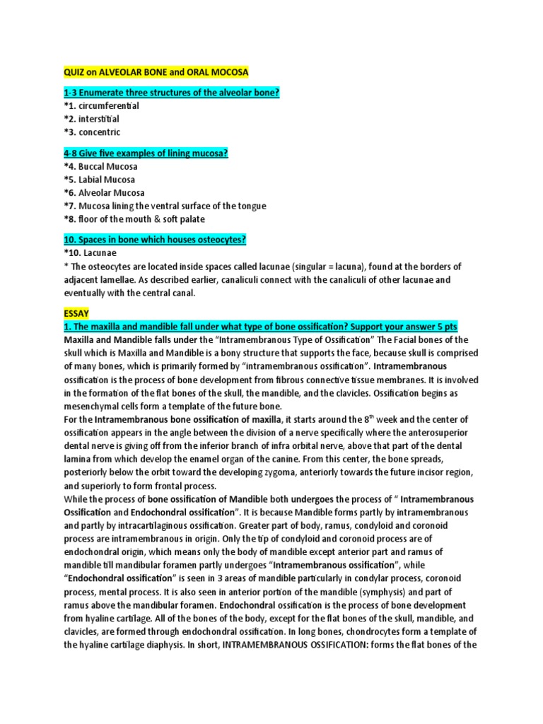 QUIZ On ALVEOLAR BONE and ORAL MOCOSA | PDF | Anatomy | Skeletal System
