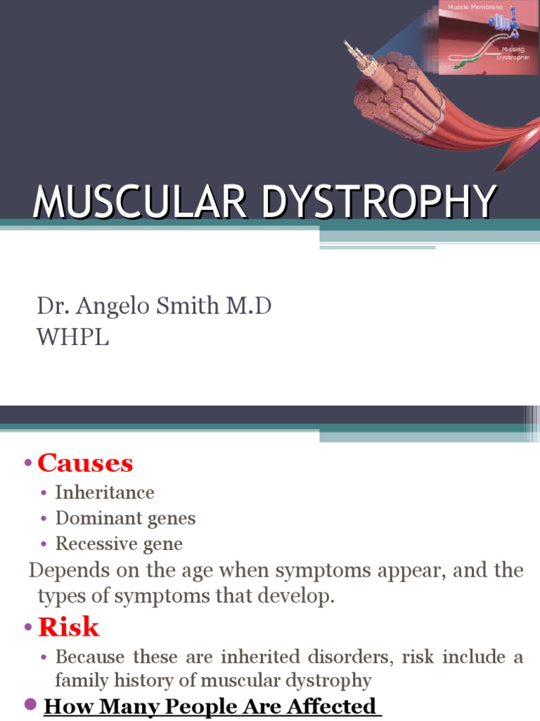 Muscular Dystrophy | PDF | Muscular Dystrophy | Musculoskeletal Disorders