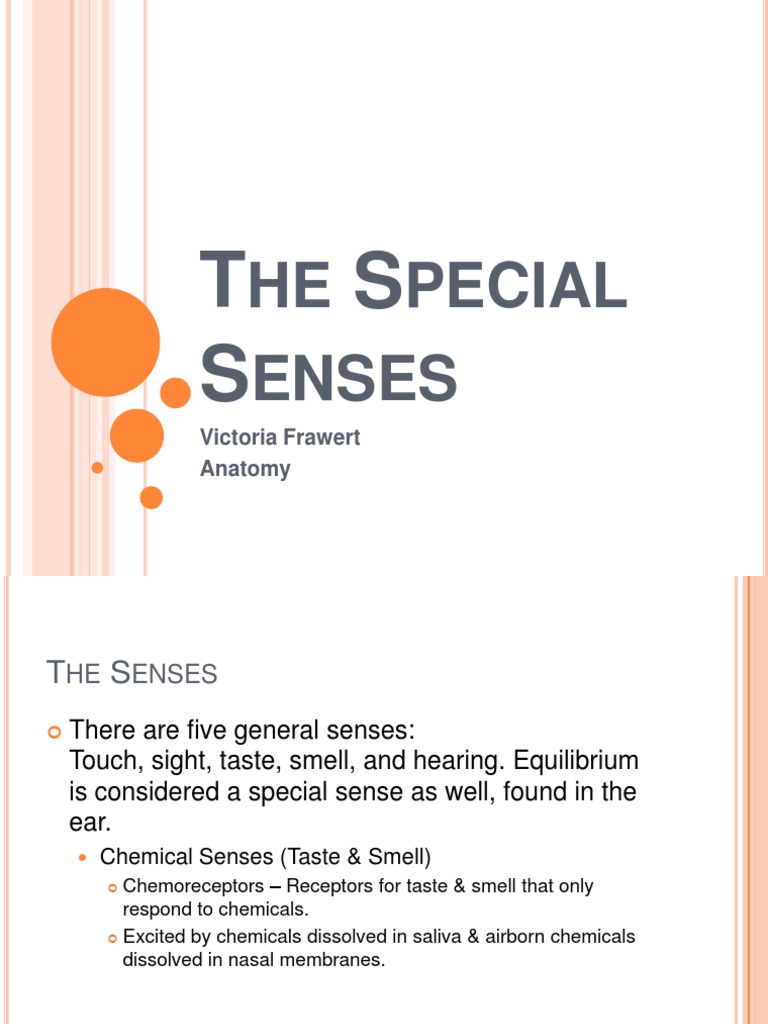 The Special Senses Powerpoint by Victoria | PDF | Ear | Taste