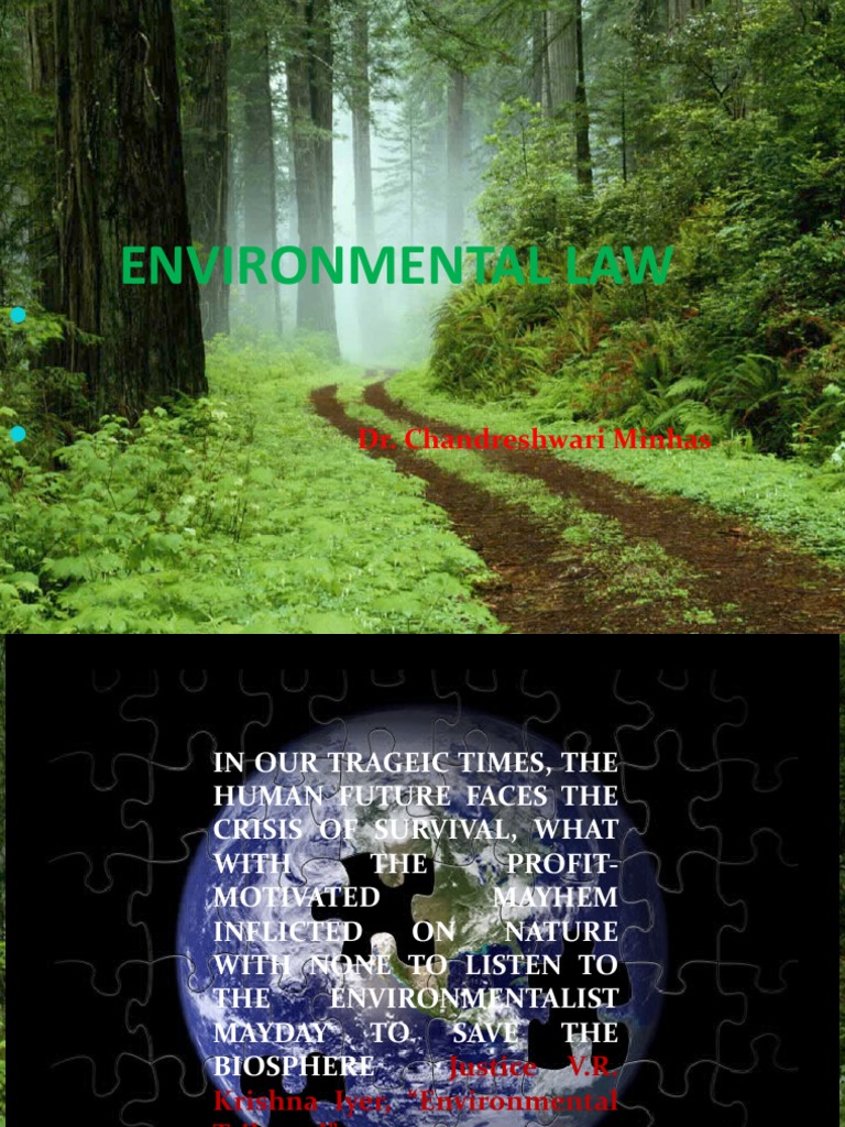 Environmental Law: Dr. Chandreshwari Minhas | PDF | Environmental ...