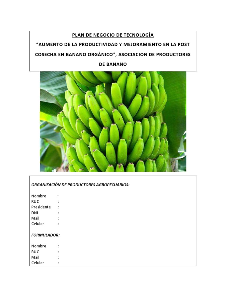 Modelo PNT Banano | PDF | Fertilizante | Marketing