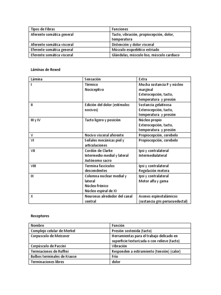 Láminas de Rexed | PDF | Hipotálamo | Dolor