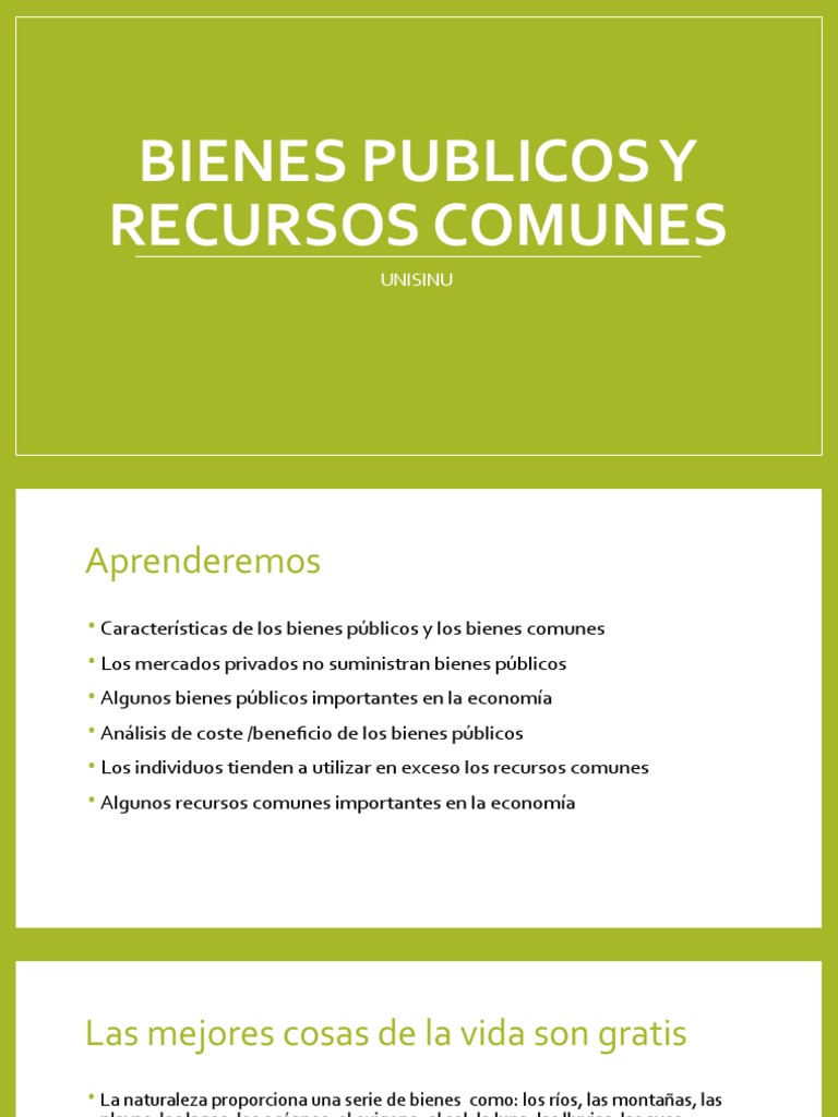 BIENES PUBLICOS Y Recursos COMUNES (Autoguardado) | PDF | Bienes | Mercado (economía)