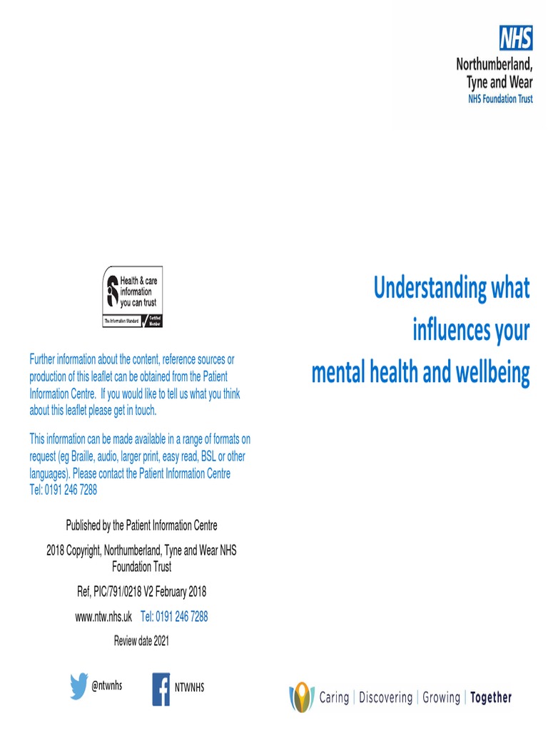 5 Ps and Formulation A5 PDF | PDF | Family | Feeling