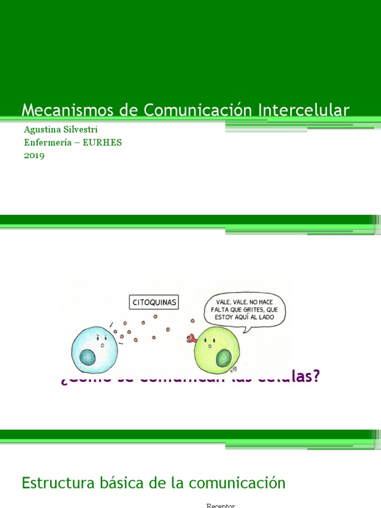 Mecanismos de Comunicación Intercelular | PDF | Receptor (Bioquímica) | Señal telefónica