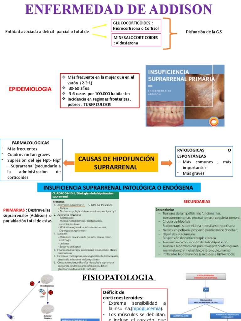Enfermedad De Addison