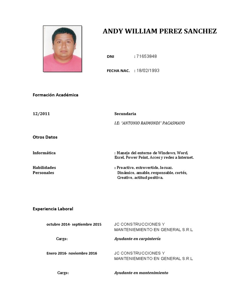 CV Andy | PDF