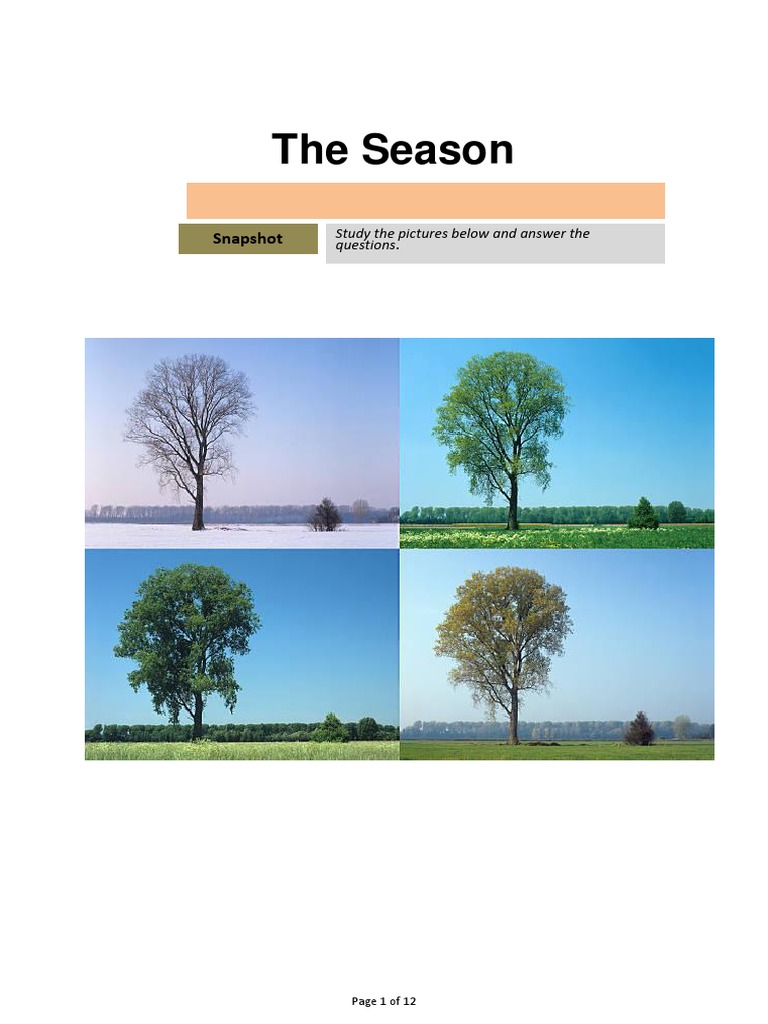 1 The Season | PDF
