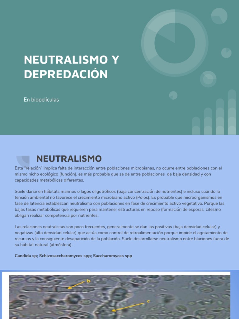 Relación de Neutralismo y Depredación | PDF | Las bacterias | Organismos