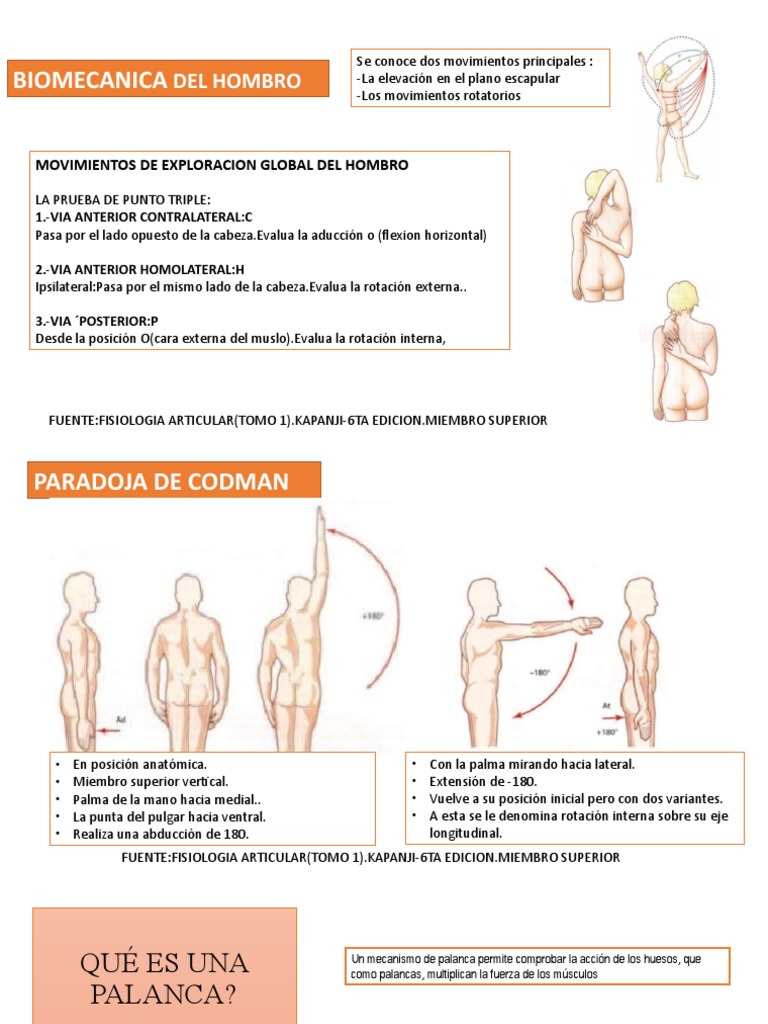 Biomecanica y Palancas | PDF