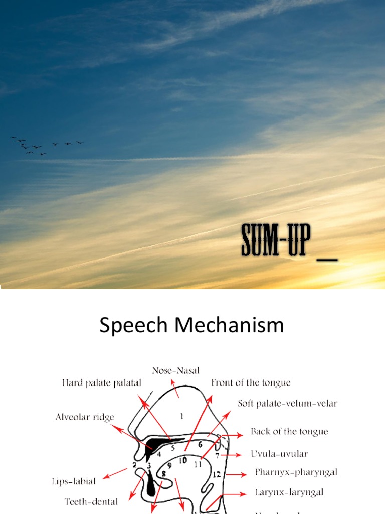 Summary Speech Mechanism and The Sounds in English | PDF