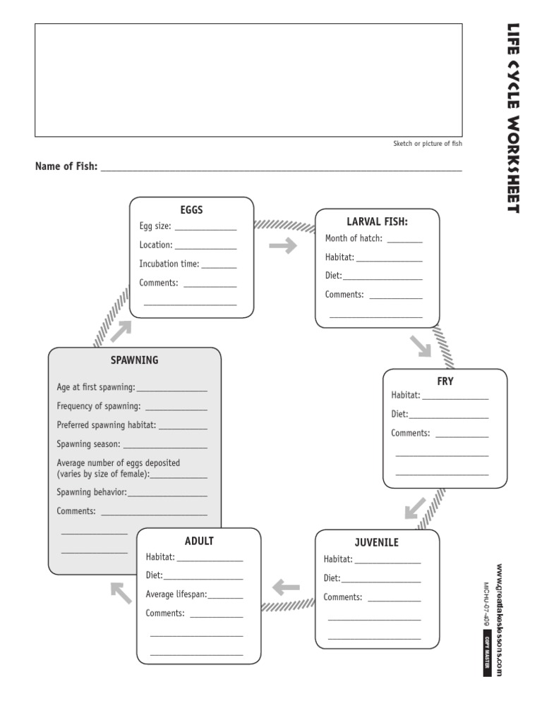 Name of Fish | PDF | Spawn (Biology) | Reproduction